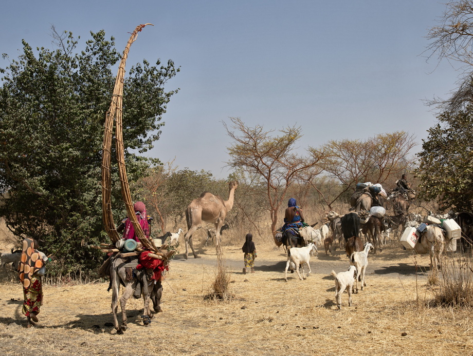 Humans World | Falata Weila People