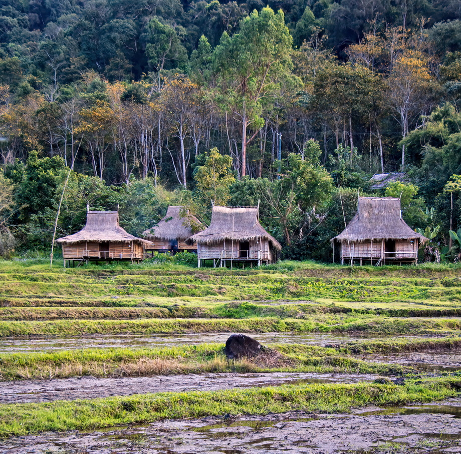 Humans World | Khmu People