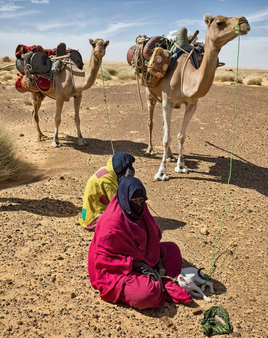Humans World | Moor People