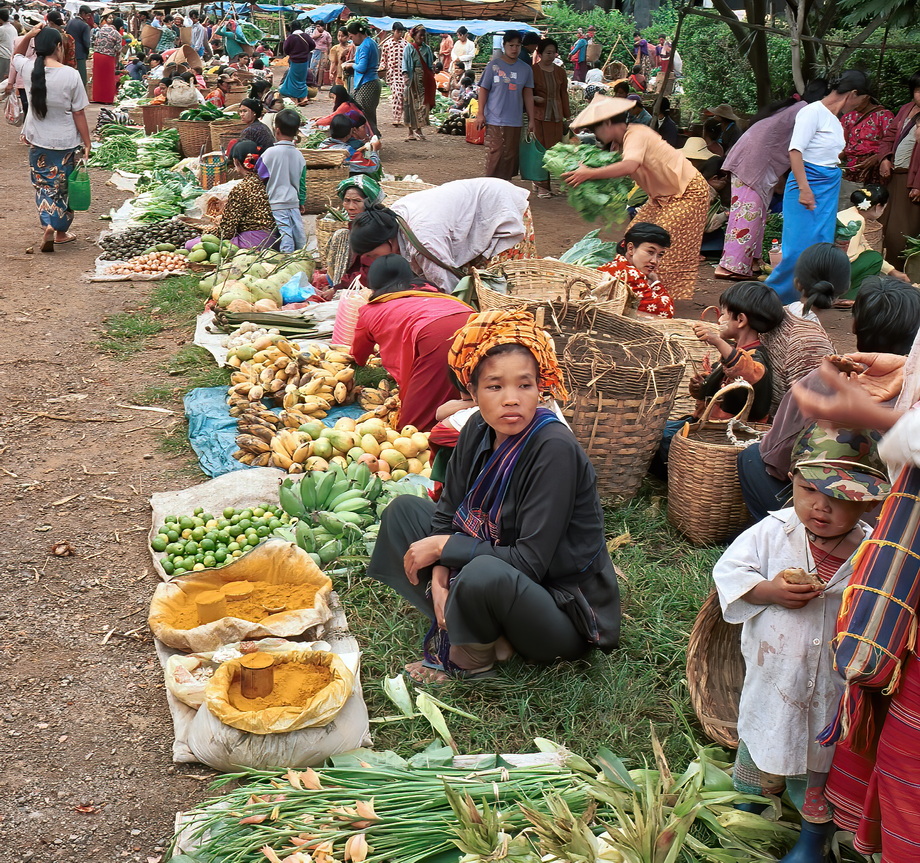 Humans World | Palaung People