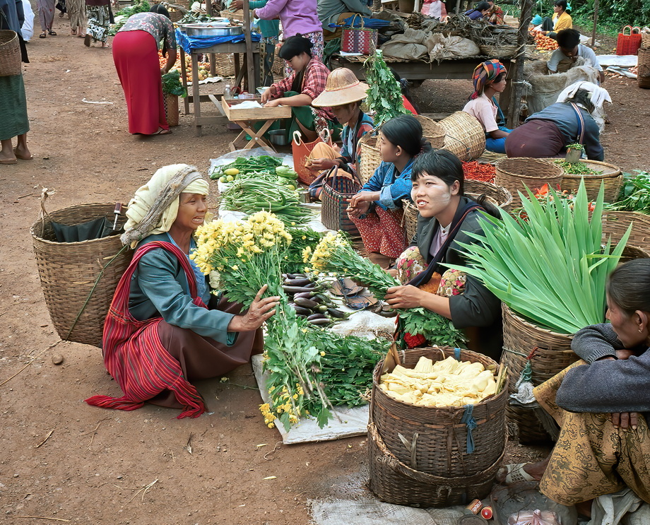 Humans World | Palaung People