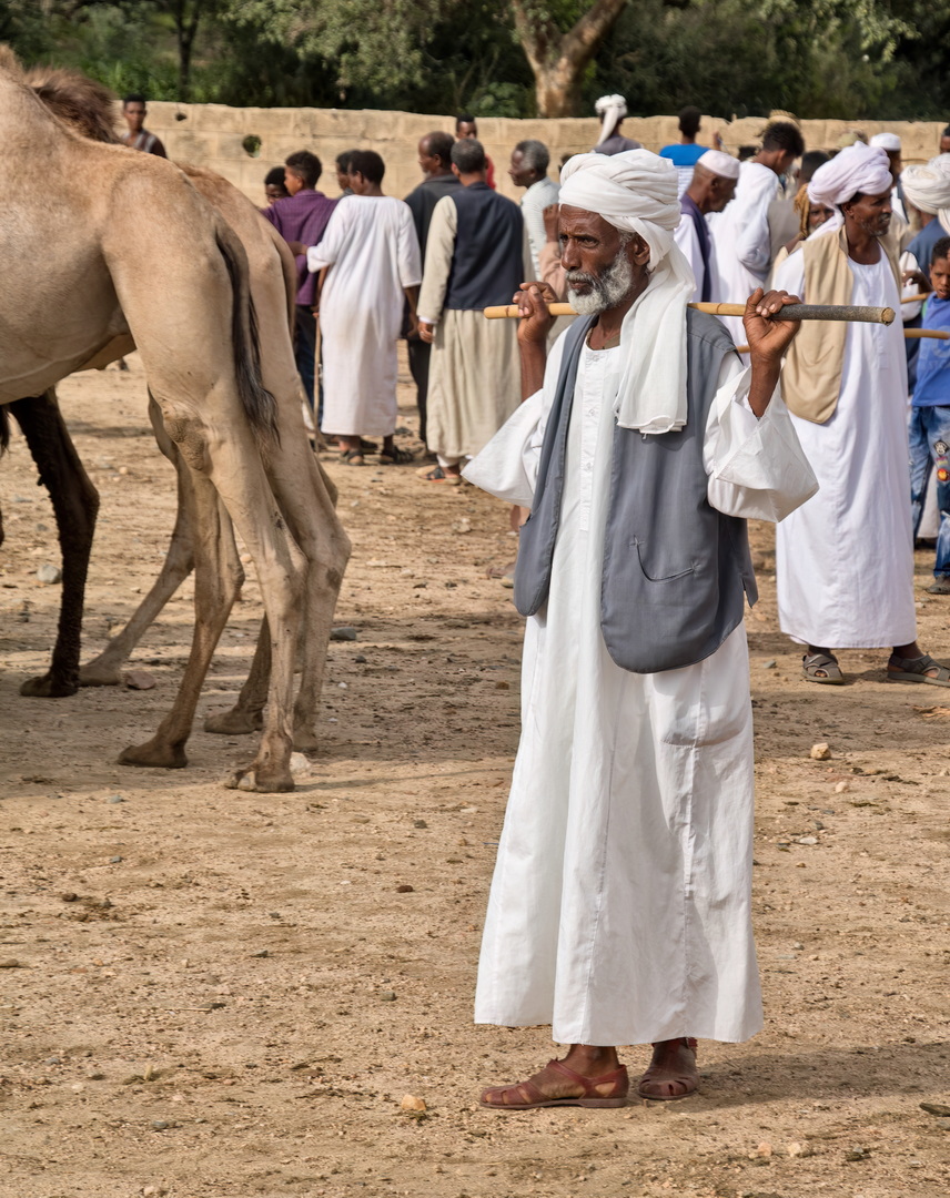 Humans World | Tigre People
