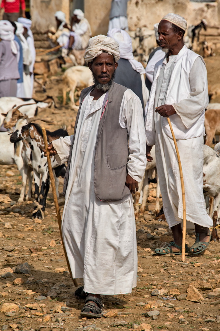 Humans World | Tigre People