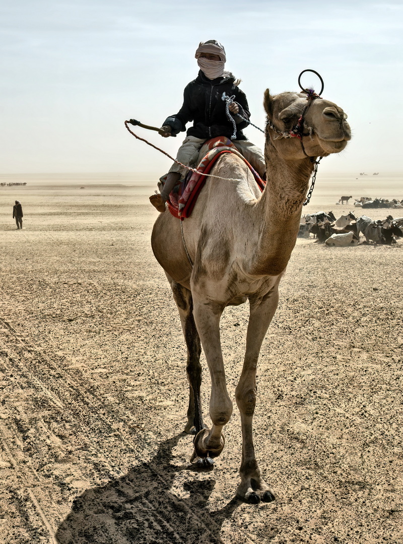 Humans World | Toubou People