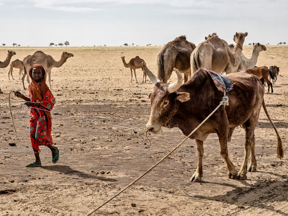 Humans World | Toubou People